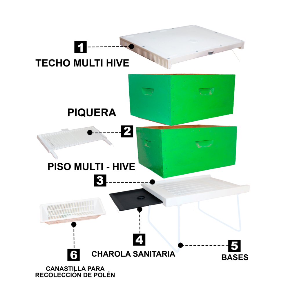 KIT COLMENA MULTI HIVE – La Casa del Apicultor